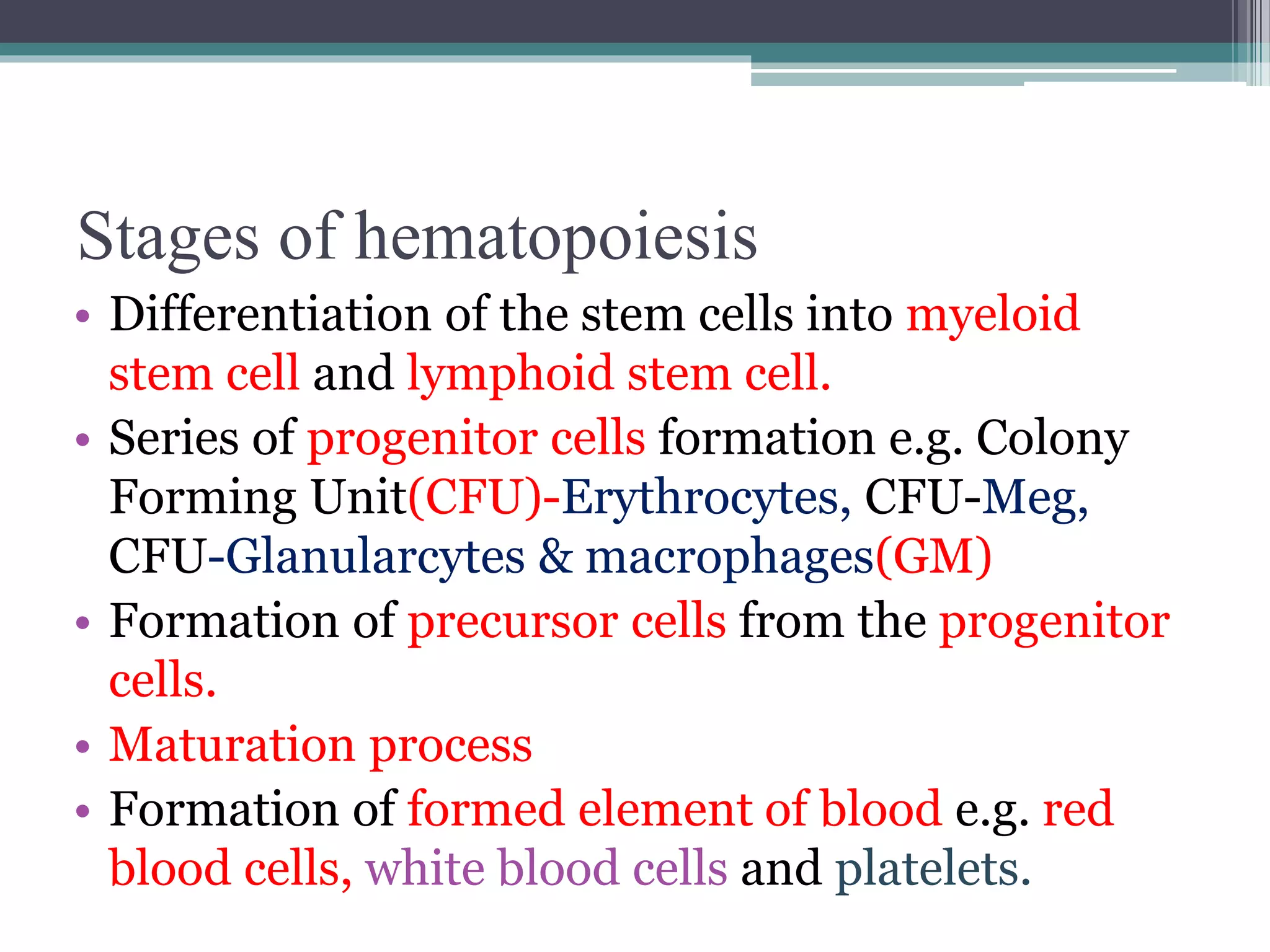 HEMATOPOESIS.pptx