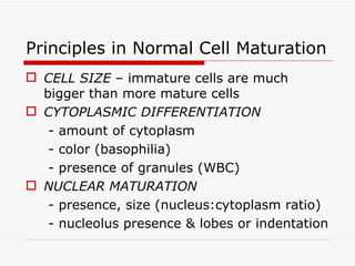 Hematopoiesis | PPT