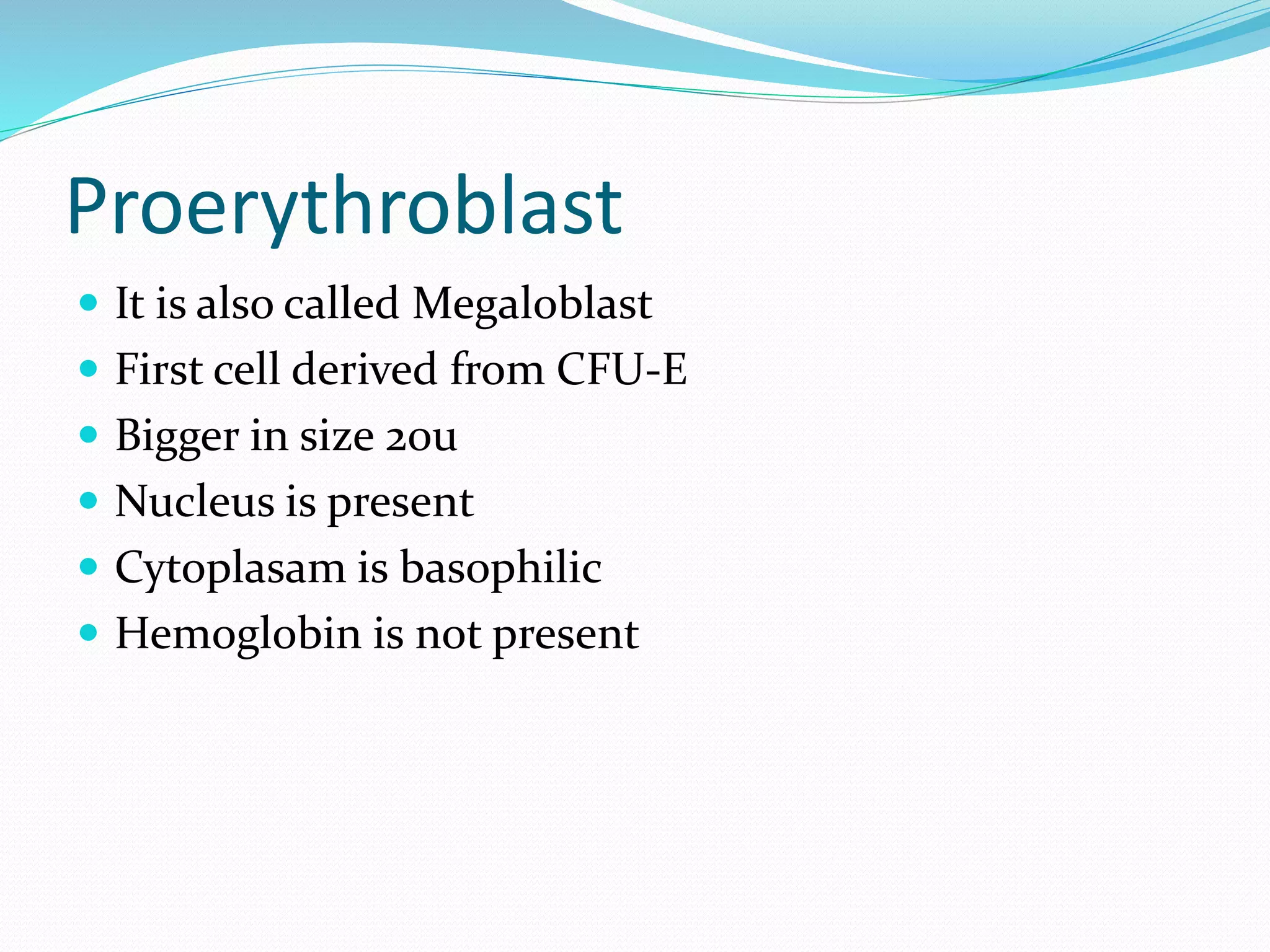 Hematopoiesis | PPTX