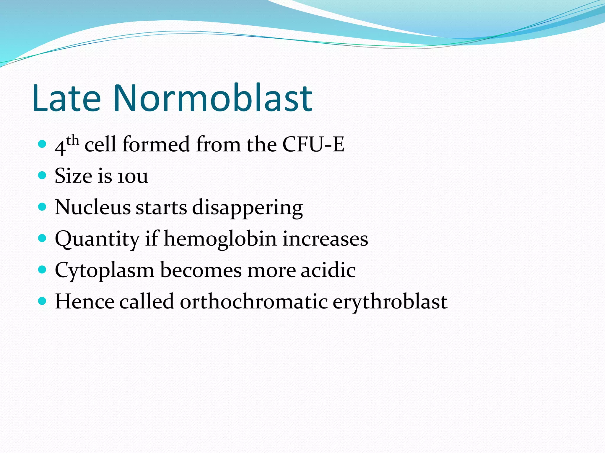 Hematopoiesis Ppt