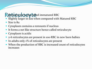 Hematopoiesis | PPTX
