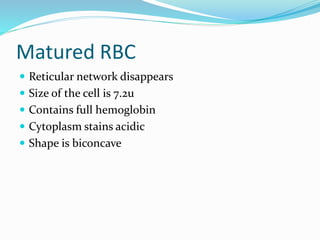 Hematopoiesis | PPTX