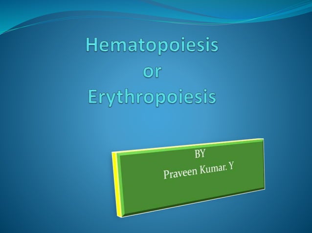 Hematopoiesis | PPT