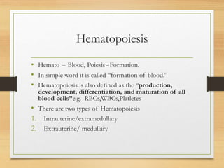 Hematopoiesis | PPTX
