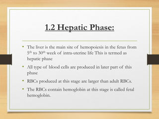 Hematopoiesis | PPTX