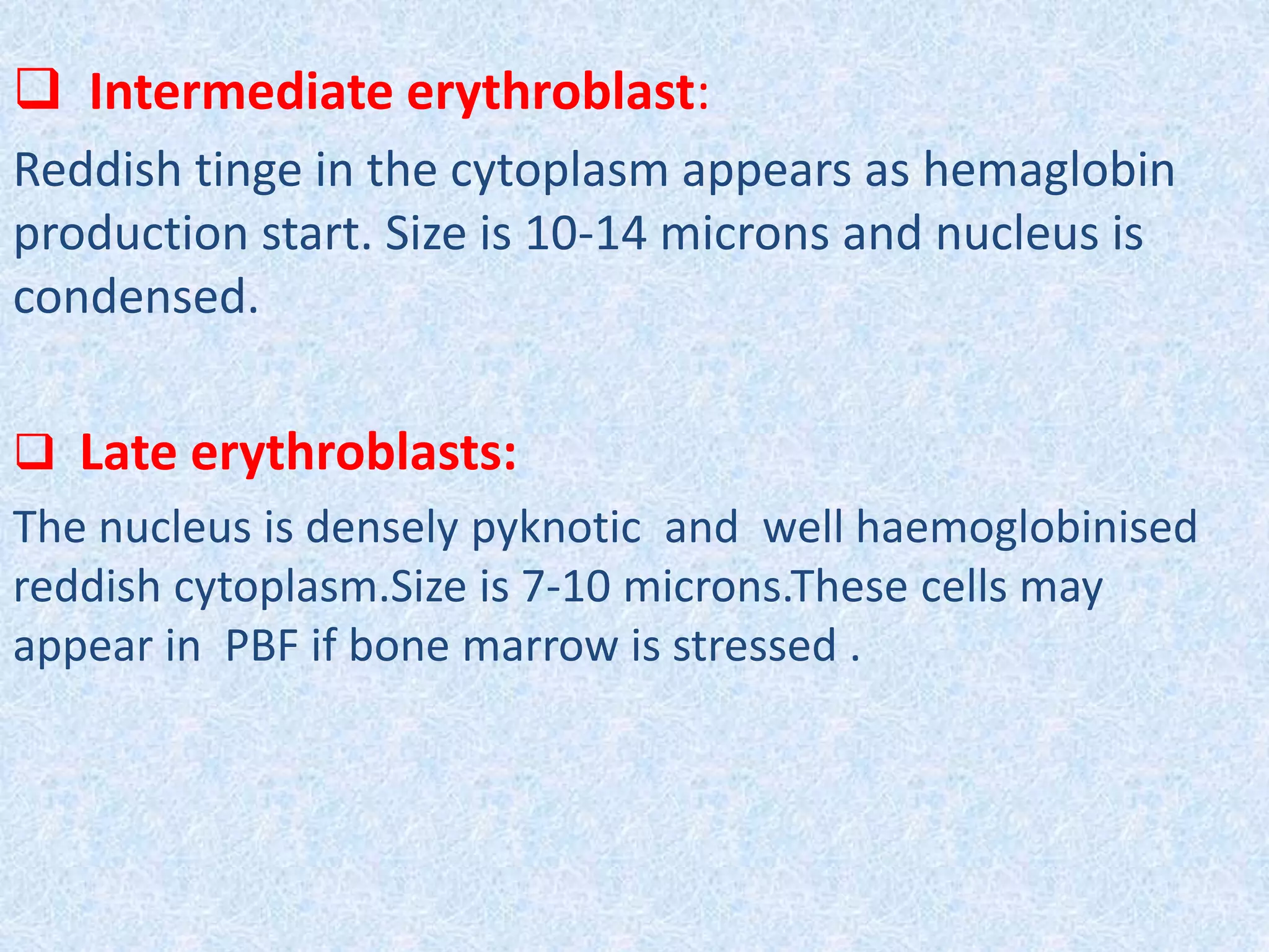 Hematopoiesis | PPTX