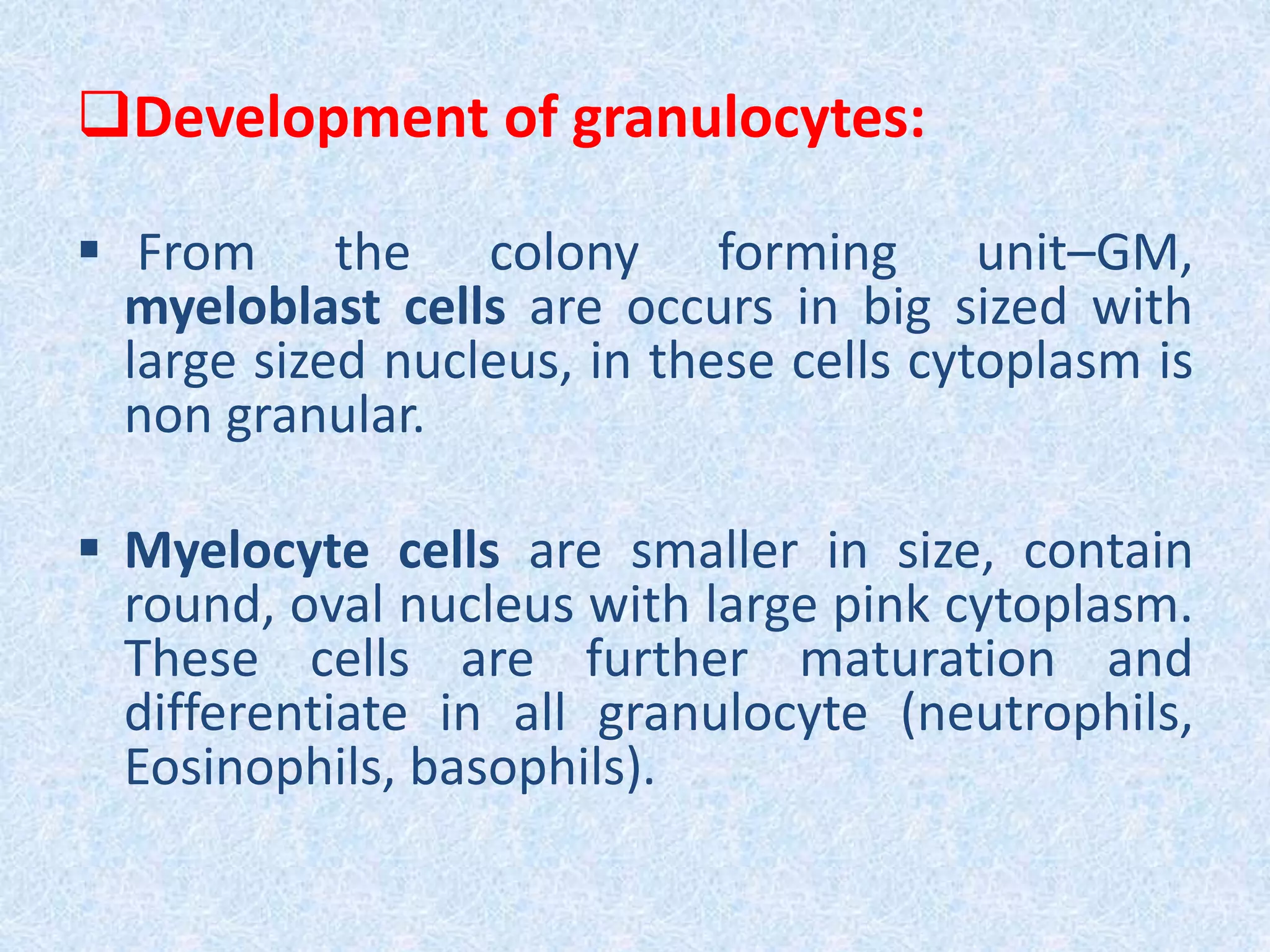 Hematopoiesis | PPTX