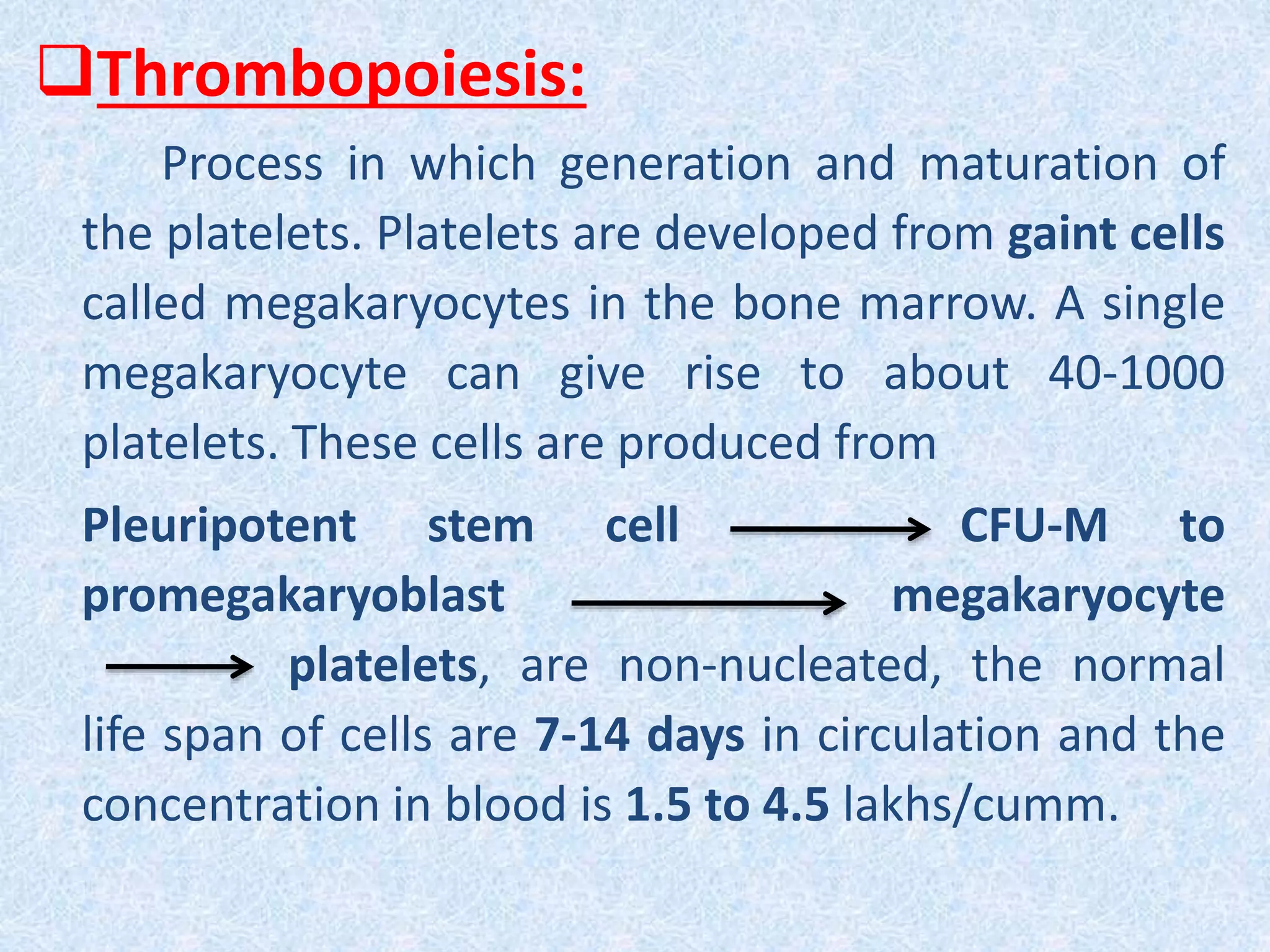 Hematopoiesis | PPTX