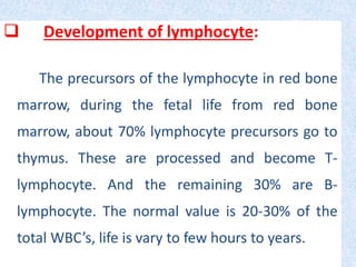 Hematopoiesis | PPTX