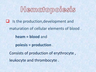 Hematopoiesis | PPT