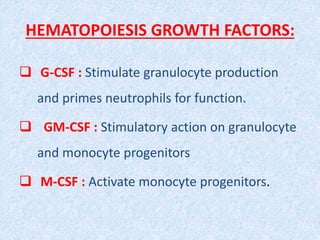 Hematopoiesis | PPTX