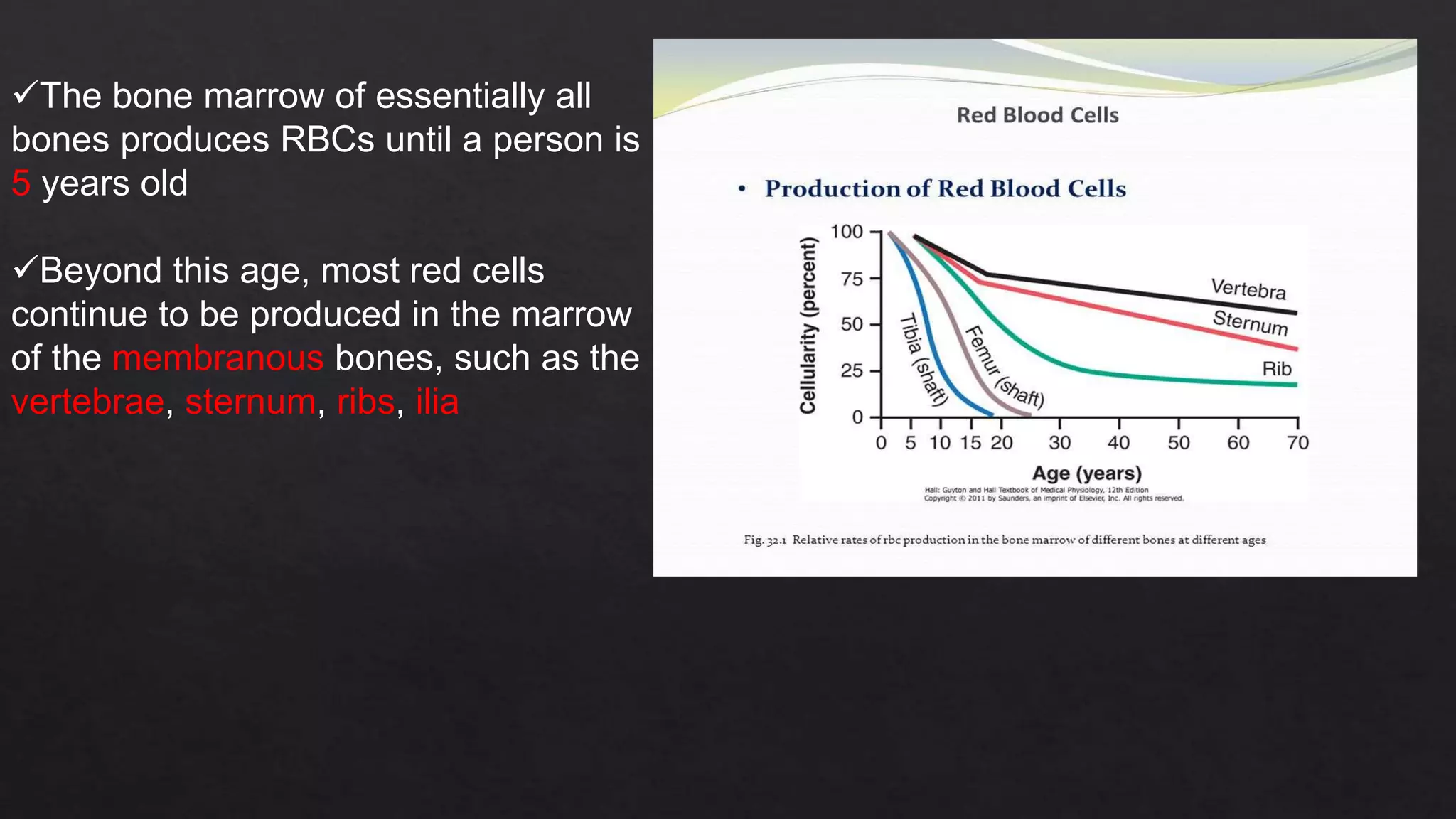 Hematopoiesis | PPTX