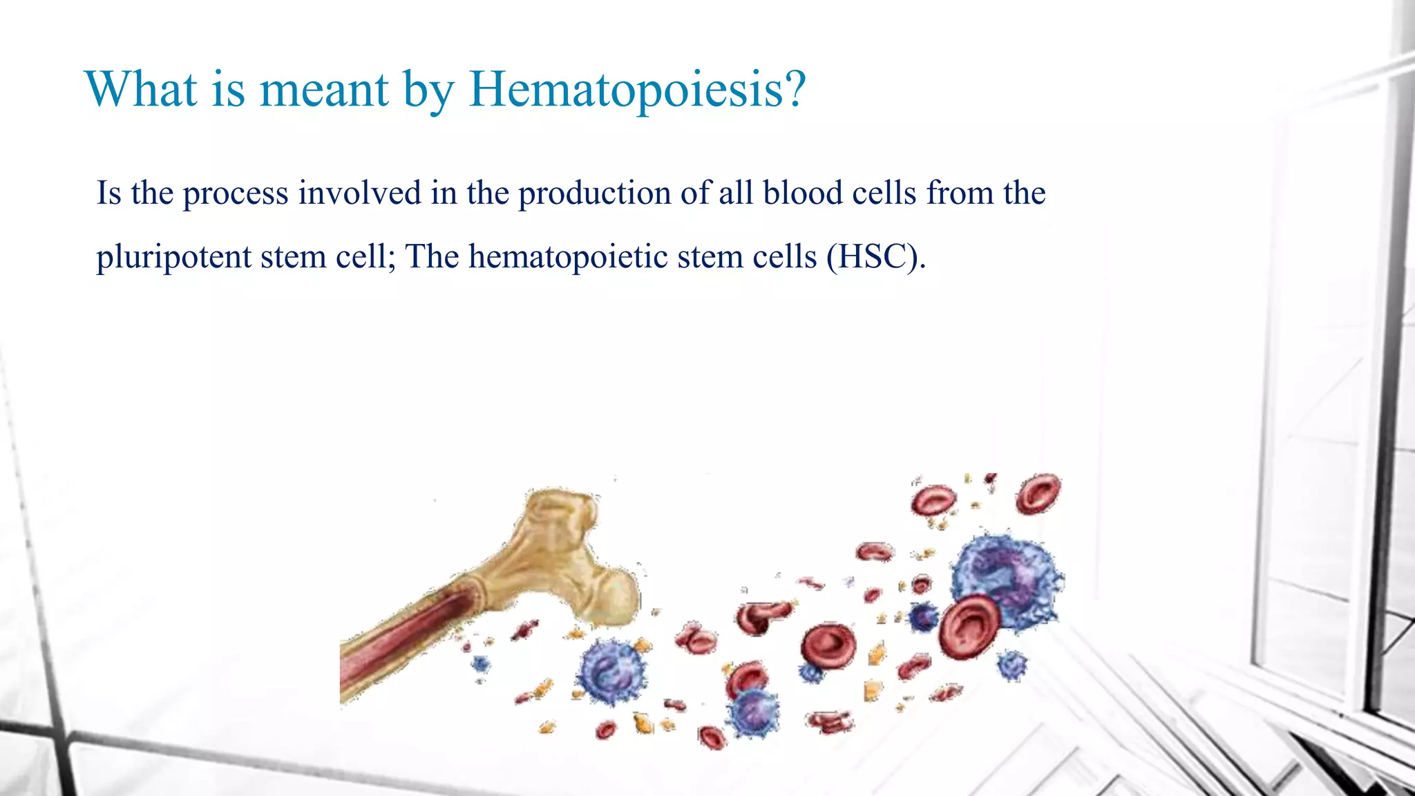 Hematopoiesis by SOlomon Suasb | PPTX