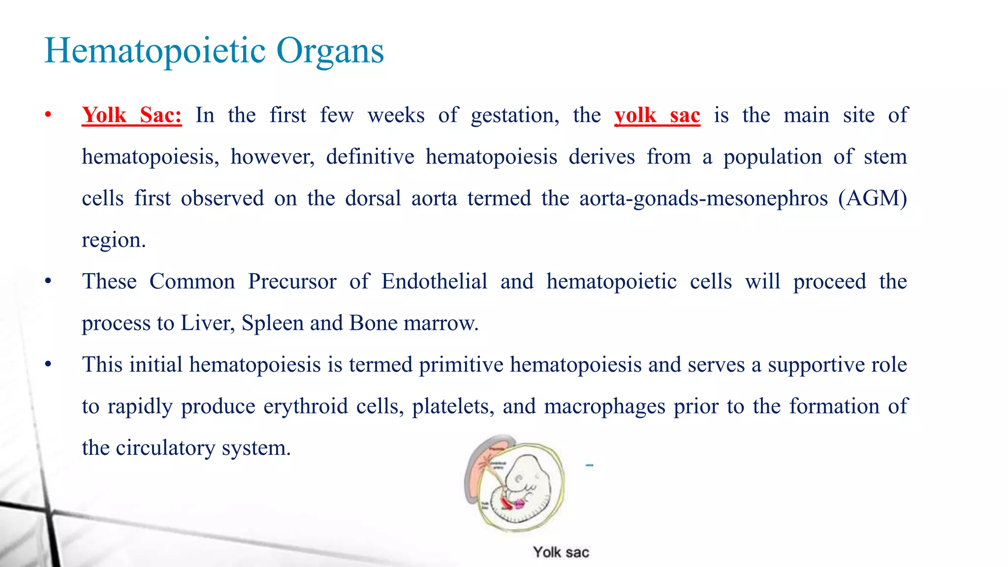 Hematopoiesis by SOlomon Suasb | PPTX
