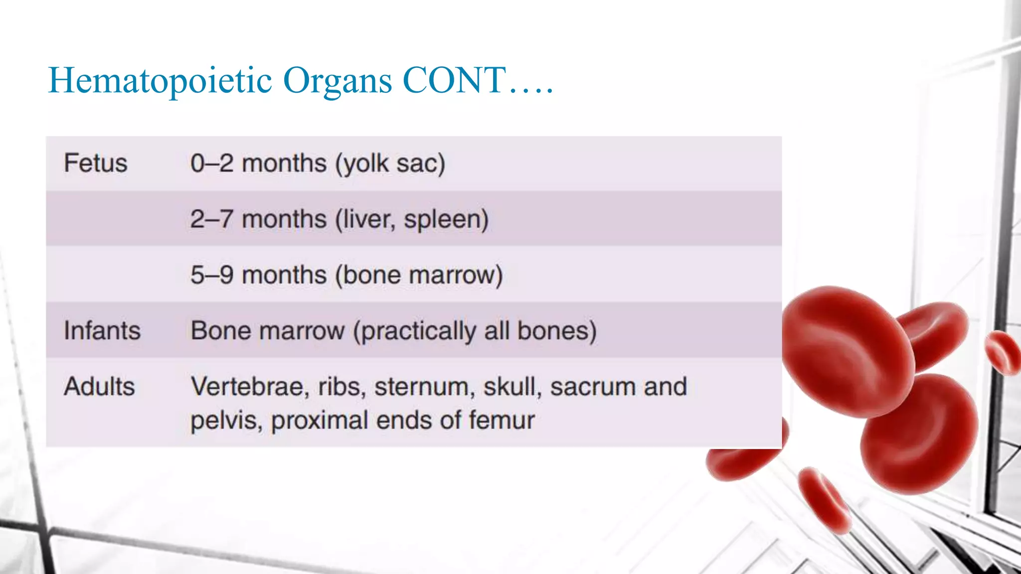 Hematopoiesis by SOlomon Suasb | PPTX
