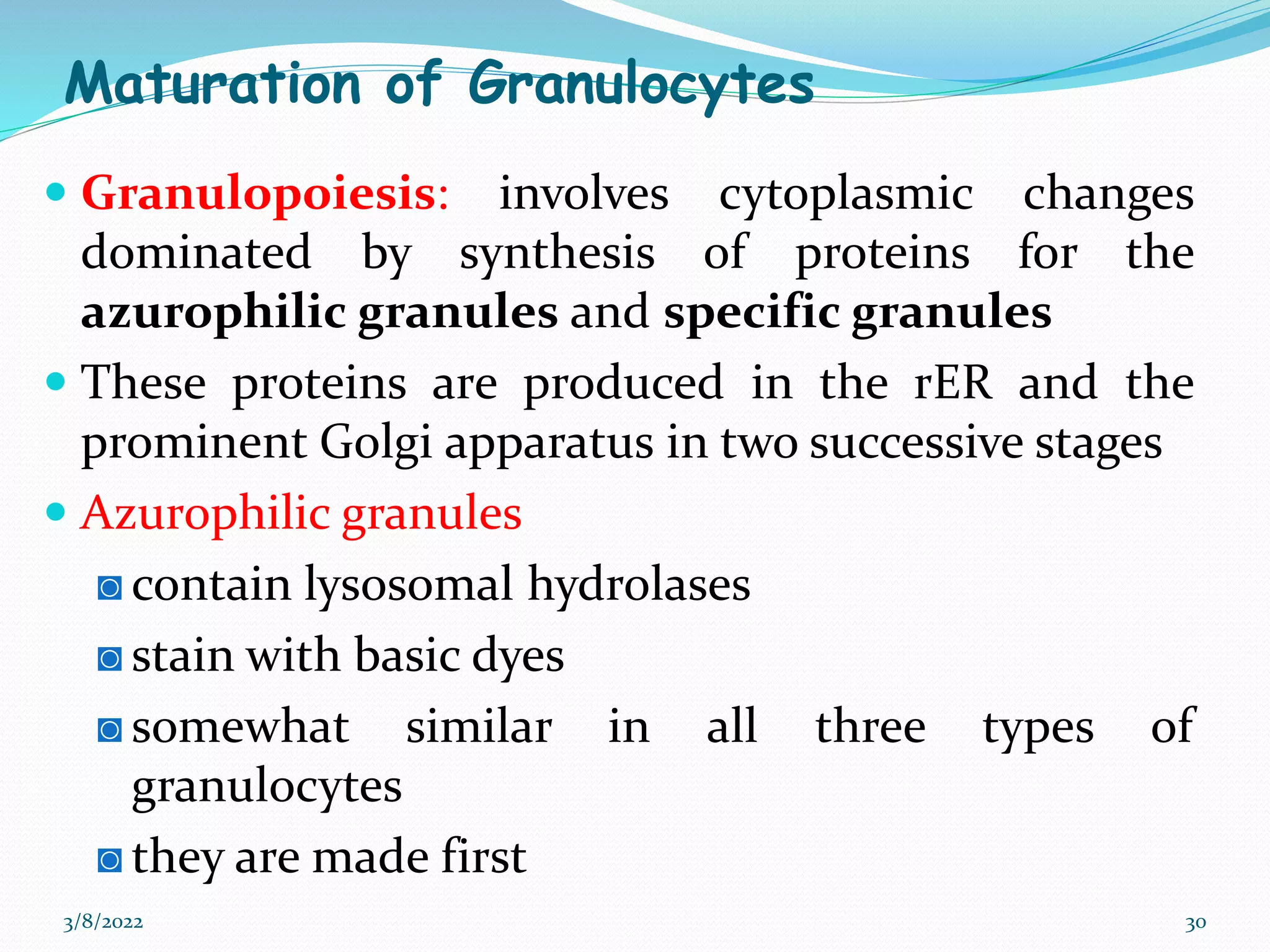 Hematopoiesis | PPTX