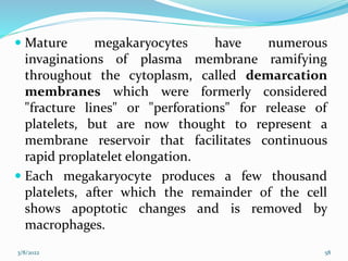 Hematopoiesis | PPTX