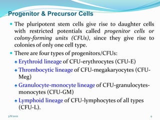 Hematopoiesis | PPTX