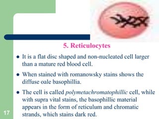 Hematopoiesis.ppt