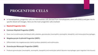 HEMATOPOIESIS - formation of blood cells | PPTX