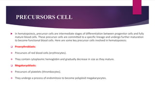 HEMATOPOIESIS - formation of blood cells | PPTX
