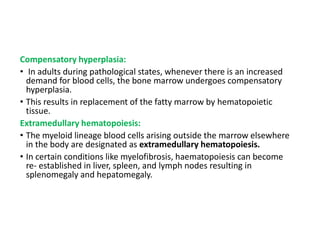 Hematopoiesis.pdf........................ | PDF