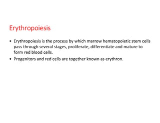Hematopoiesis.pdf........................ | PDF