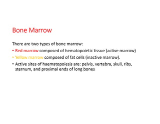 Hematopoiesis.pdf........................ | PDF