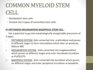 Hematopoiesis (Immunology) | PPTX