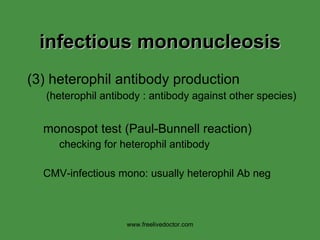 Hematopoiesis 06 07 | PPT