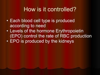 Hematopoiesis 2016 Formation of Blood Cells.ppt