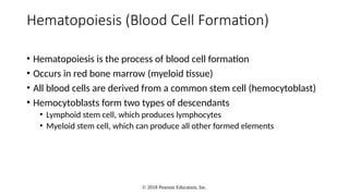 Hematopoiesis and Hemostasis. PowerPoint | PPTX
