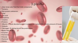 Hematopoiesis pdf.pdf