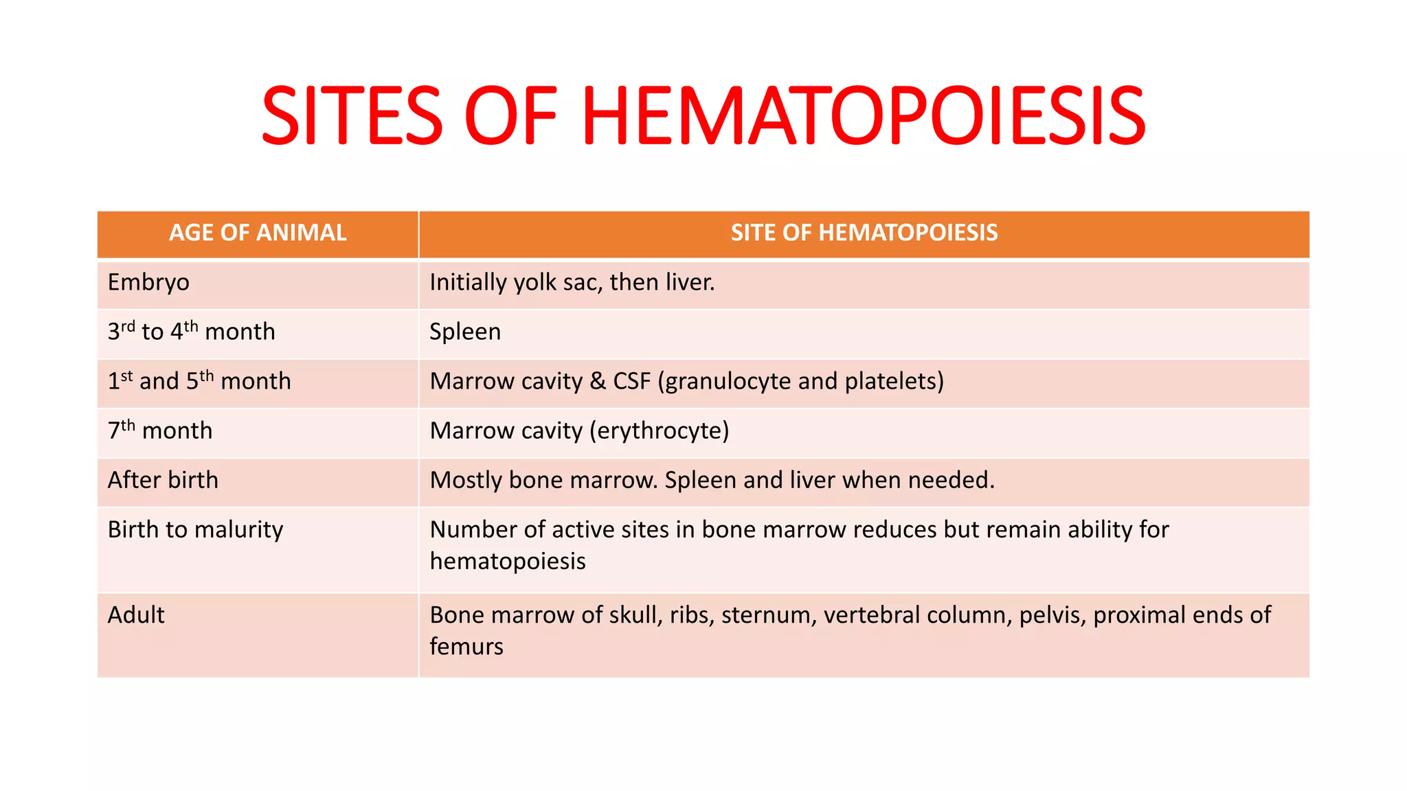 Hematopoiesis: Formation of Blood Cells - An Overview | PPTX