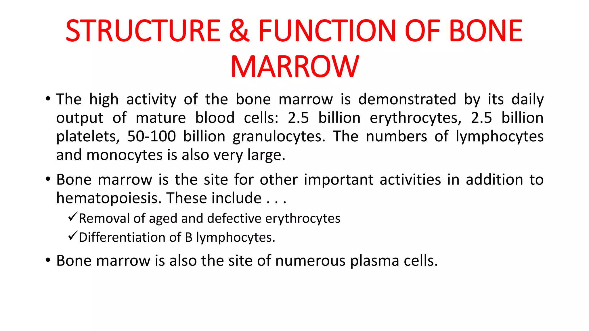 Hematopoiesis: Formation of Blood Cells - An Overview | PPTX