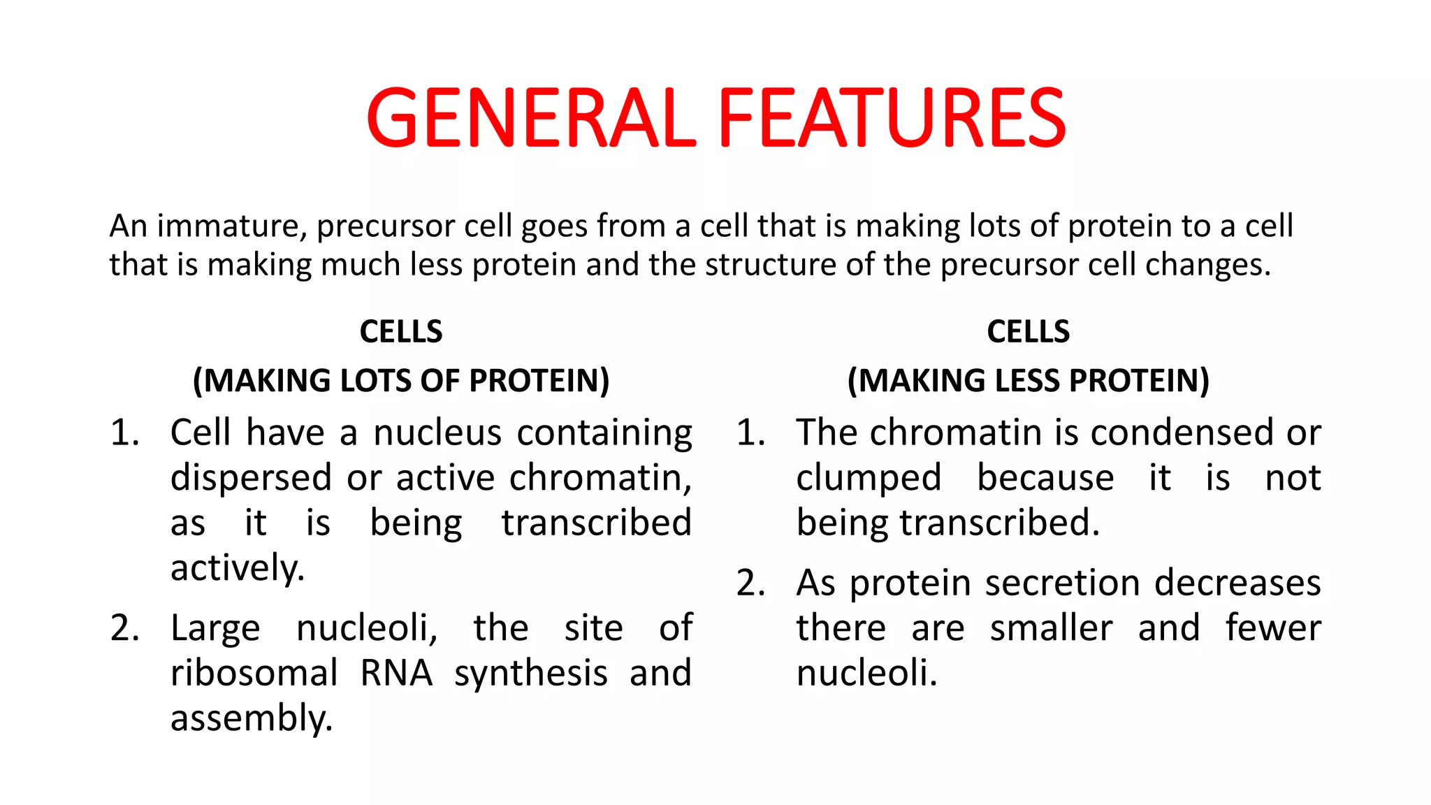 Hematopoiesis: Formation of Blood Cells - An Overview | PPTX