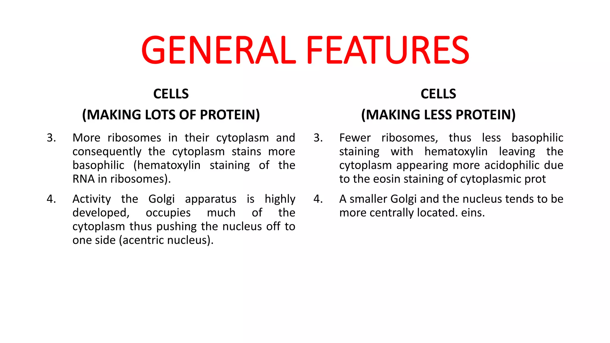 Hematopoiesis: Formation of Blood Cells - An Overview | PPTX