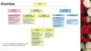 Hematopoietic and Lymphoid Systems Pathology | PPTX
