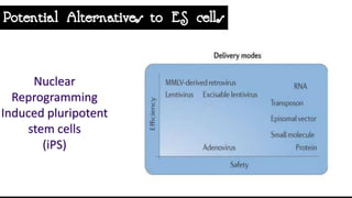 Hematopoietic development of human embryonic stem cells | PPT | Free ...