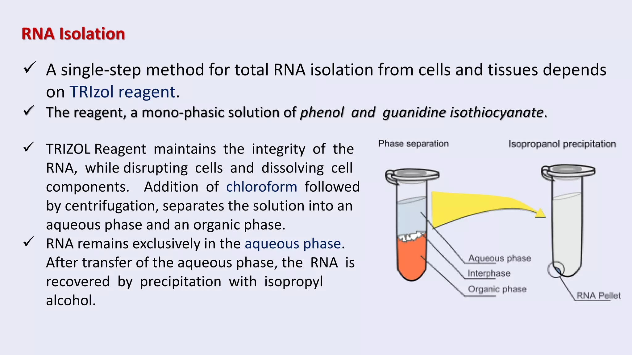 Hematopoietic development of human embryonic stem cells | PDF
