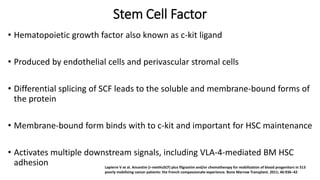 Hematopoietic Stem Cell Harvesting and Mobilization.pptx