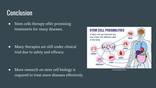 Hematopoietic Stem Cells Transplantation for Multiple Myeloma | PPT