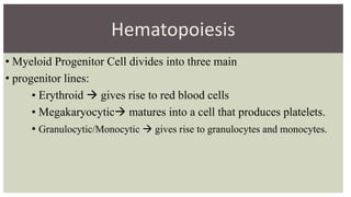 Hematopoietic Stem Cell Transplantation (HSCT).pdf