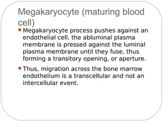 Hematopoietic system.pdf