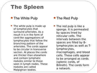 Hematopoietic system.pdf