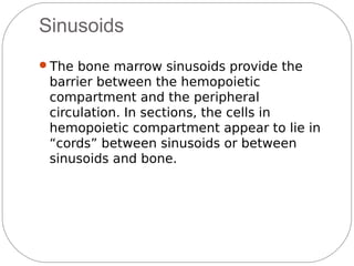 Hematopoietic system.pdf