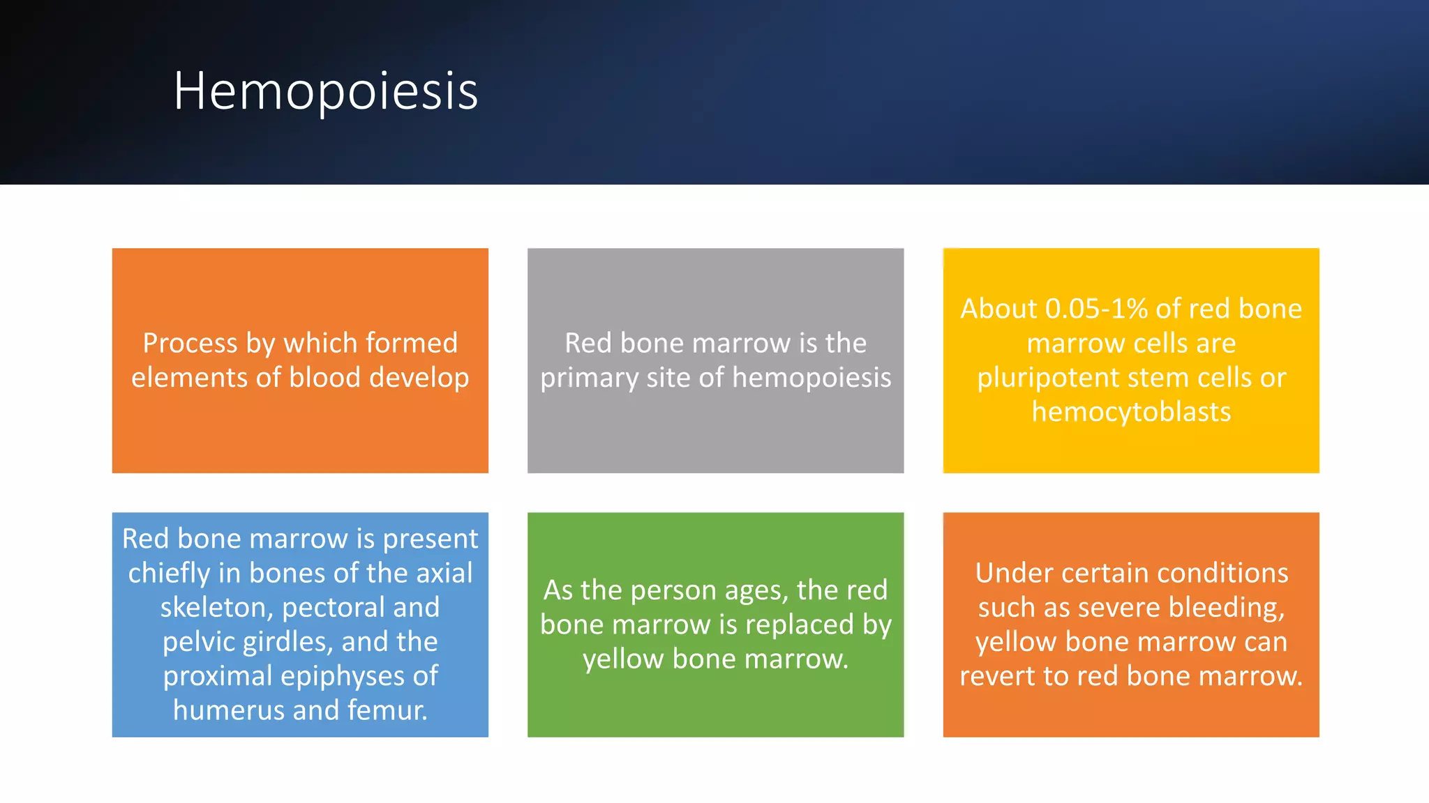 Hematopoietic System.pptx
