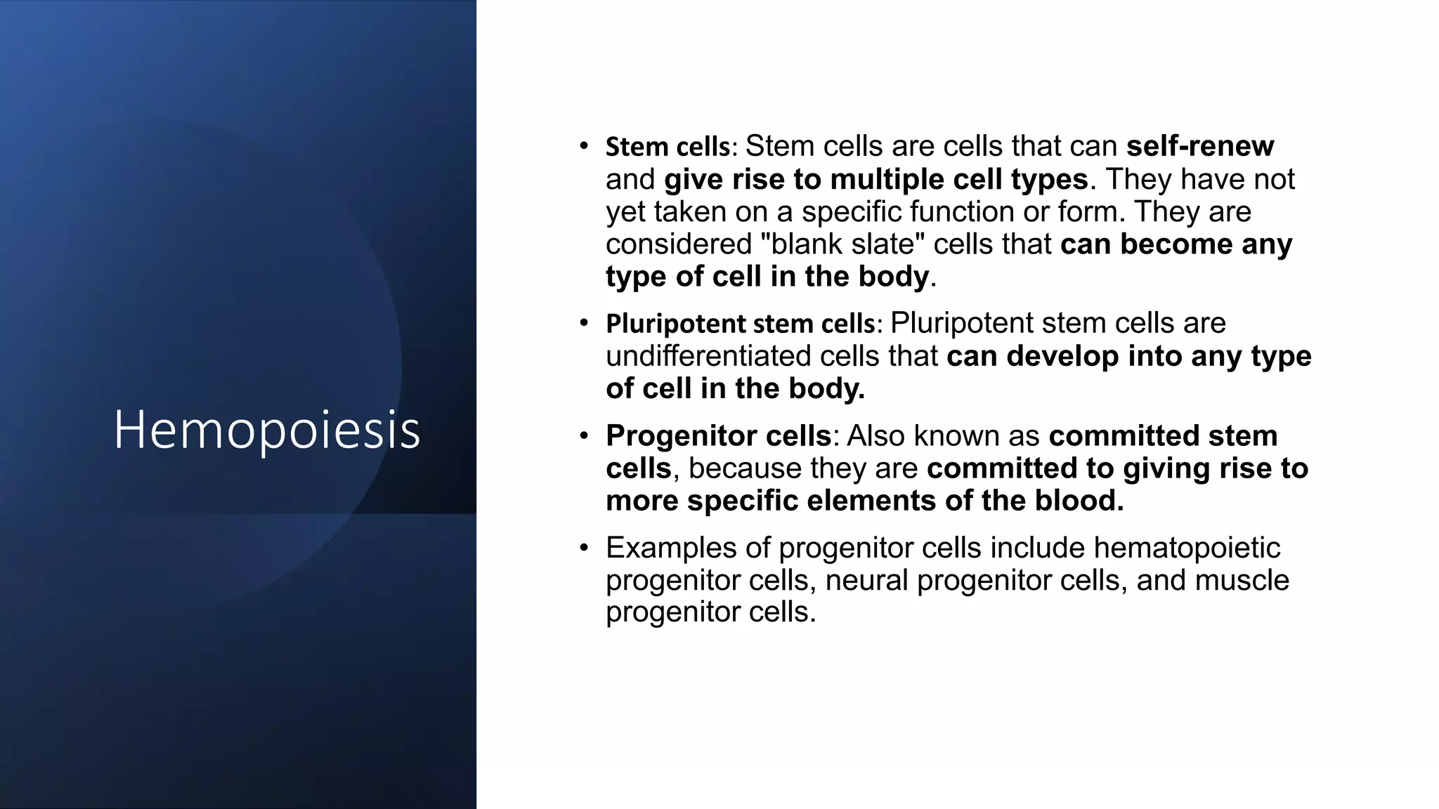 Hematopoietic System.pptx