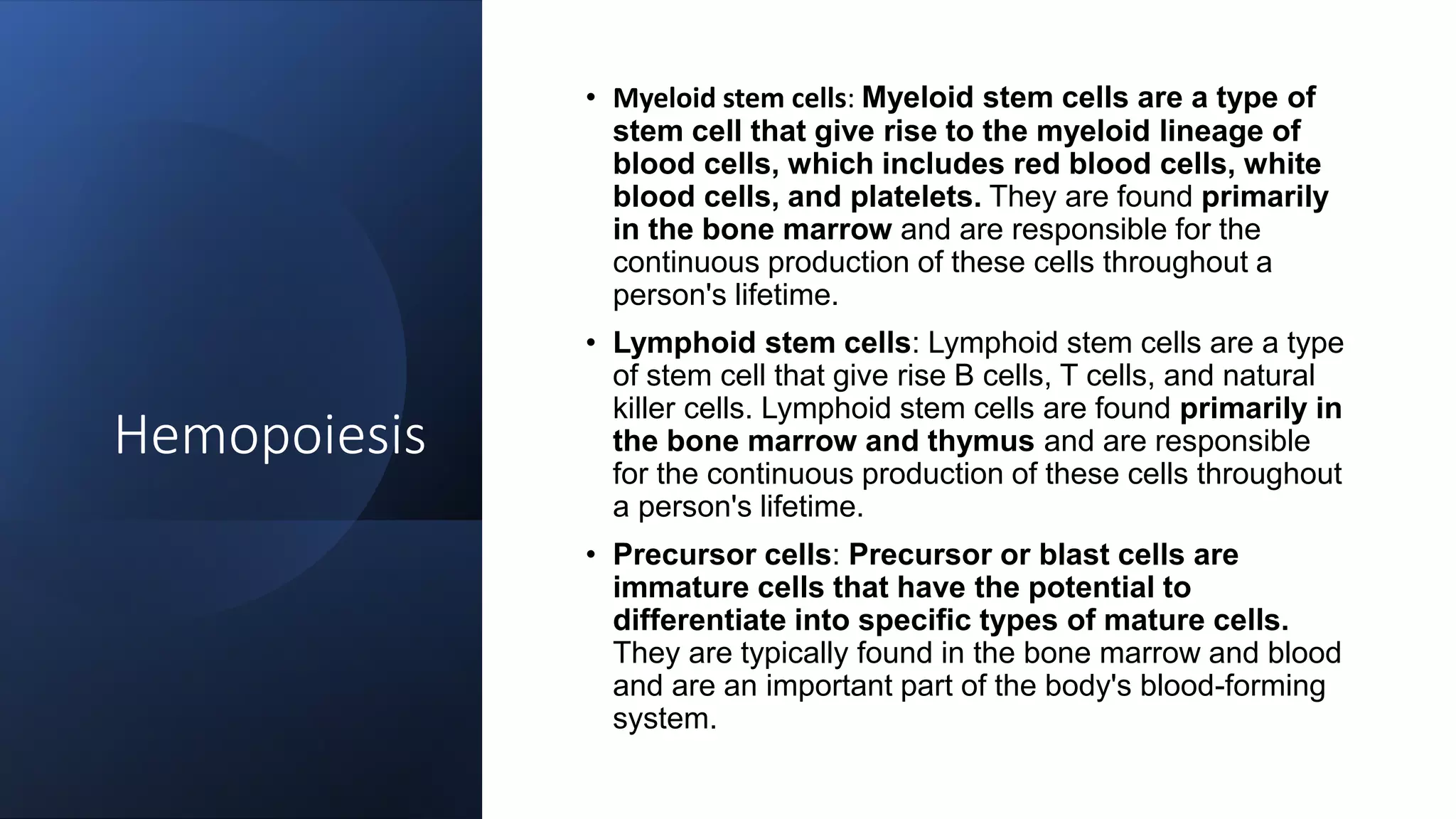 Hematopoietic System.pptx