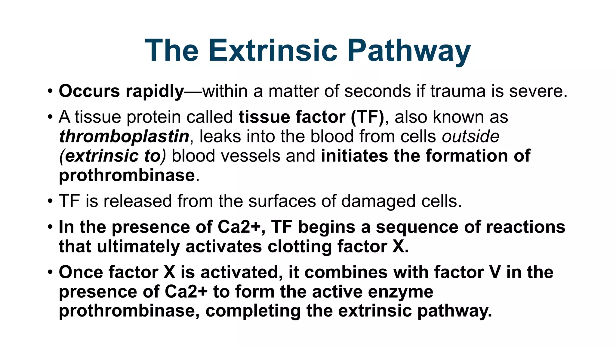 Hematopoietic System.pptx